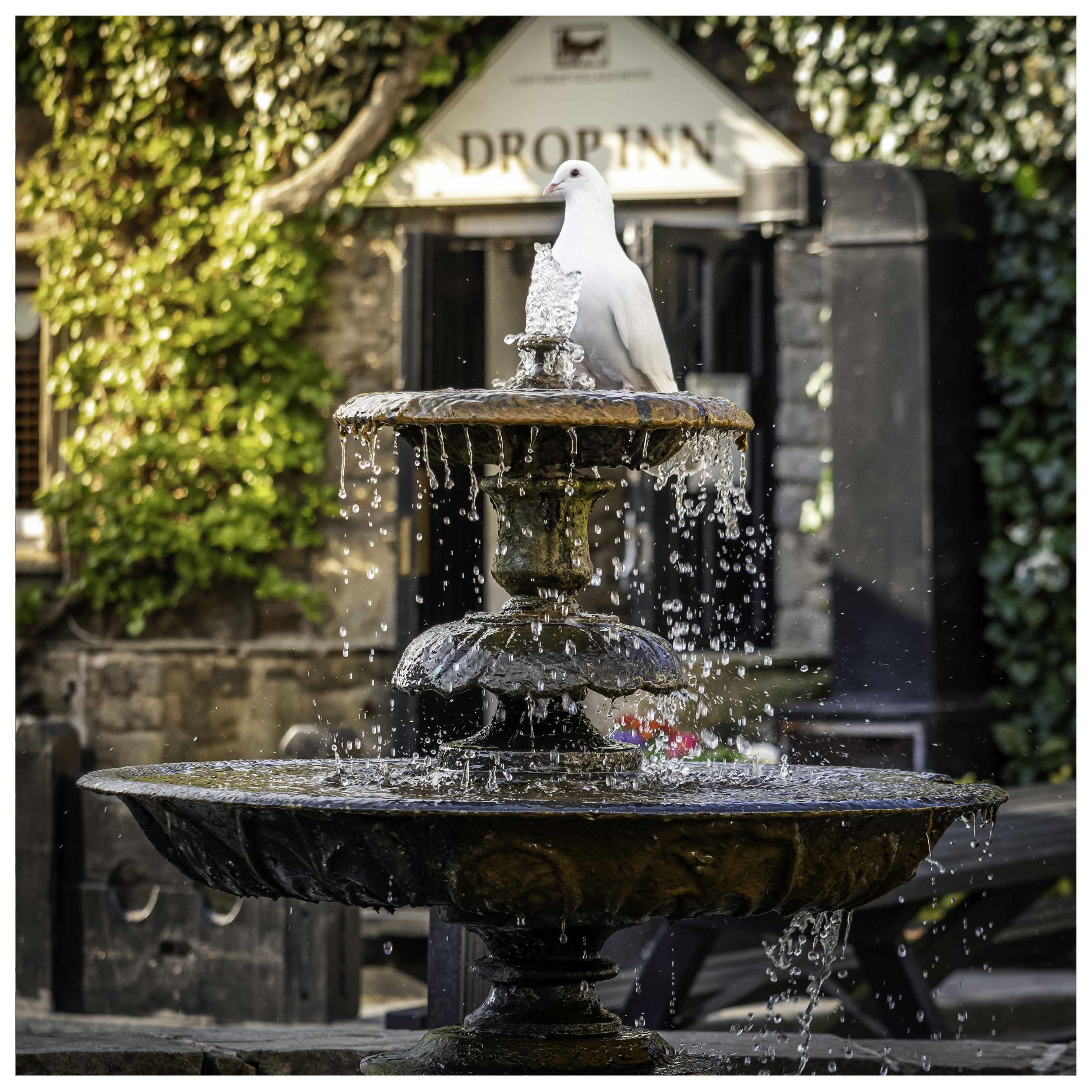 Last Drop Inn Bolton | Last Drop Village Hotel & Spa